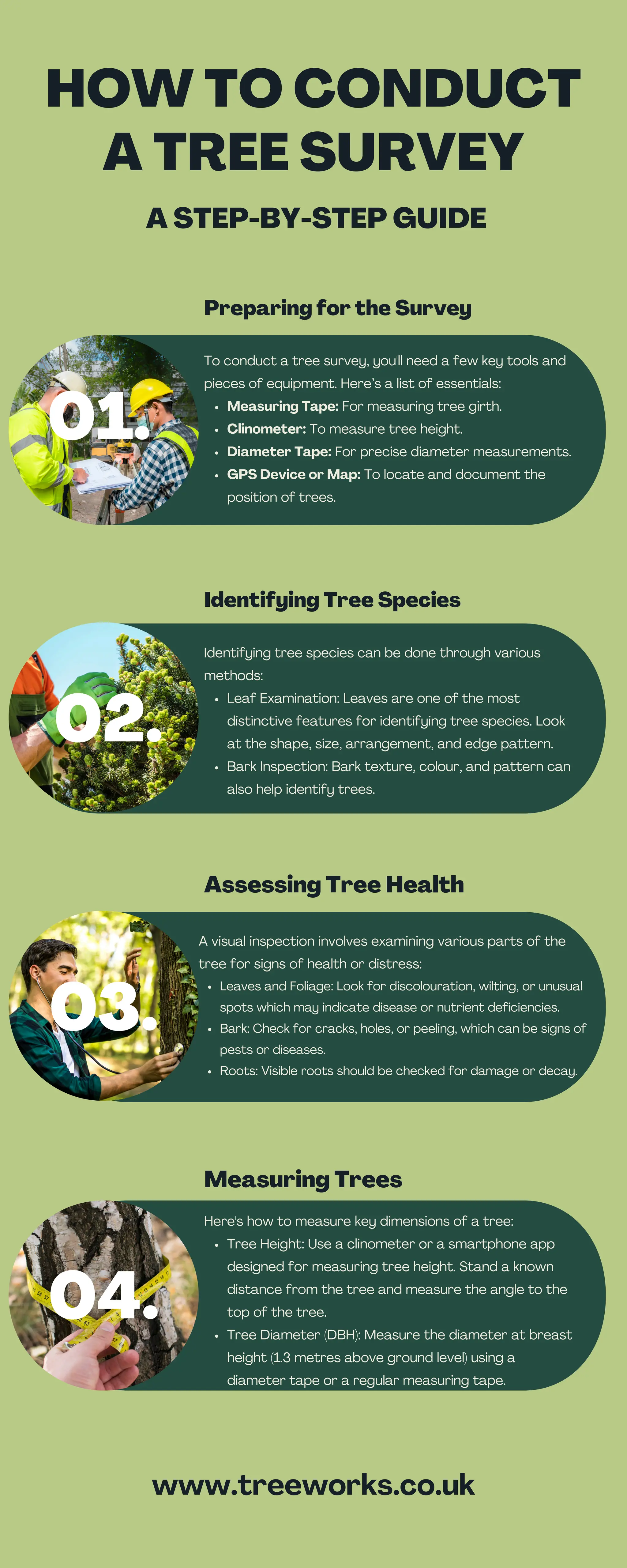 How to Conduct a Tree Survey: A Step-by-Step Guide.pdf
