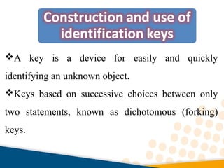 How to construct a key | PPT
