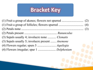 How to construct a key | PPT