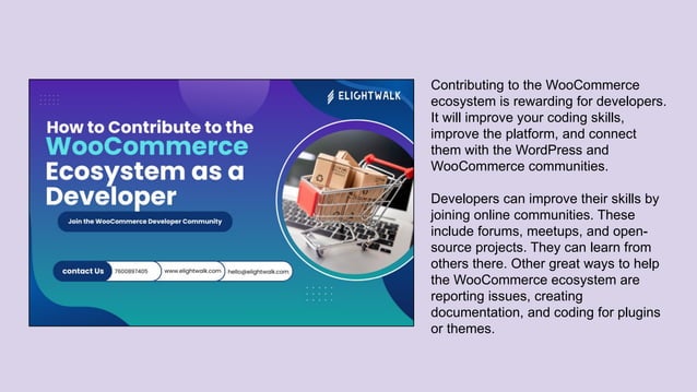 How to Contribute to the WooCommerce Ecosystem as a Developer | PPT