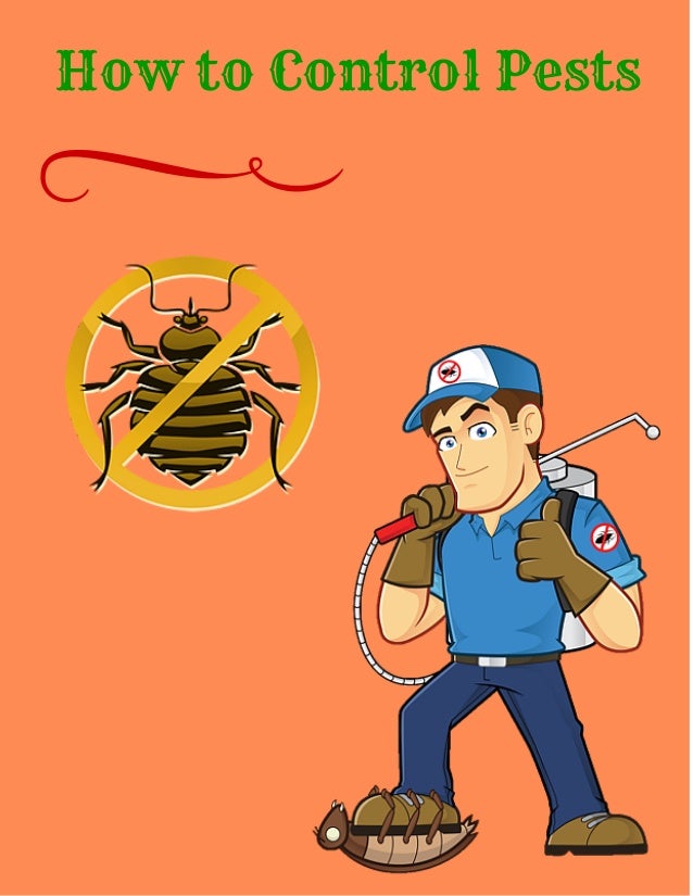 How to control pests
