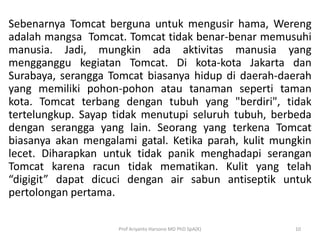 How to cope with tomcat bite | PPT