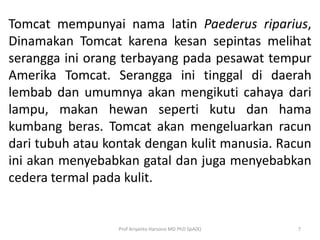 How to cope with tomcat bite | PPT