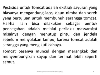 How to cope with tomcat bite | PPT