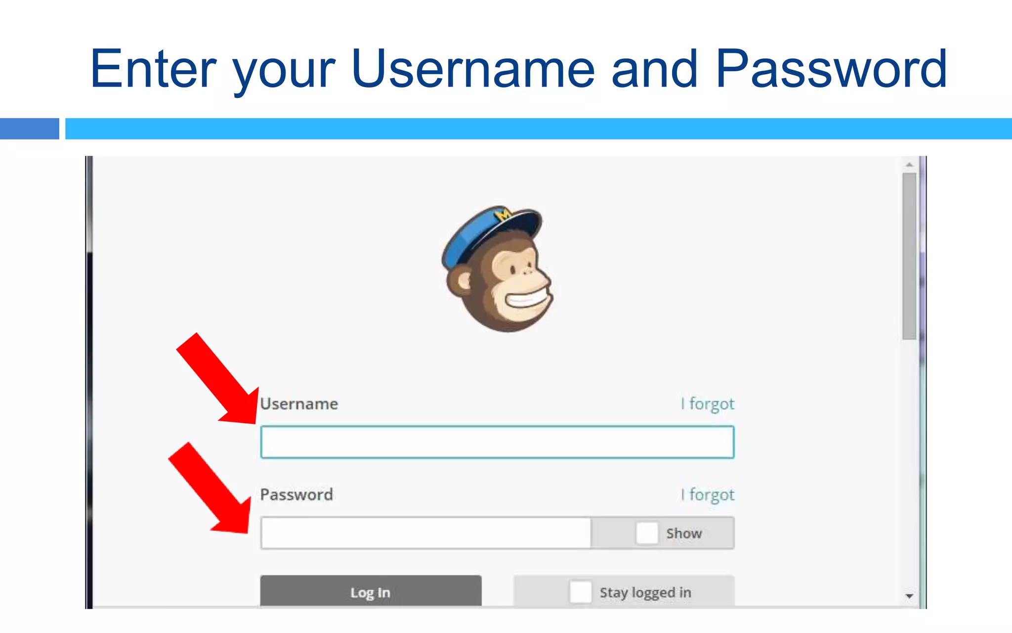 How to Create a List in MailChimp | PPT