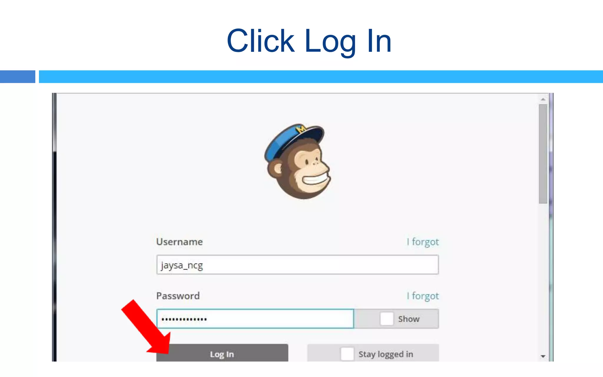 How to Create a List in MailChimp | PPT