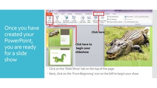 How to create a power point | PPT