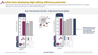 How to Create CRISPR-Edited T Cells More Efficiently for Tomorrow's ...