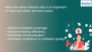 How to Create Effective Test Plans and Test Cases for Software Testing ...