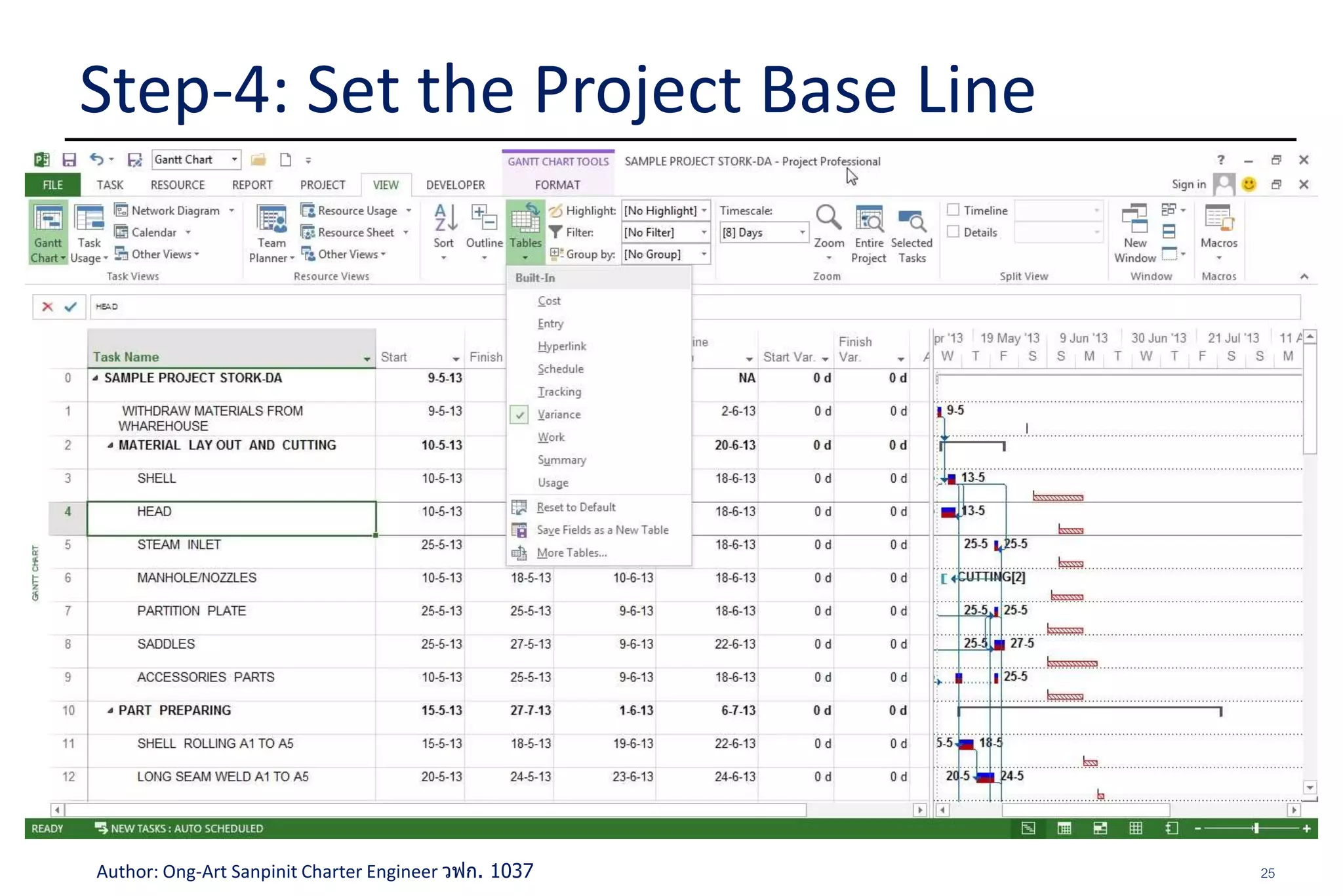 How to Create S Curve by MS Project 2013 | PPSX