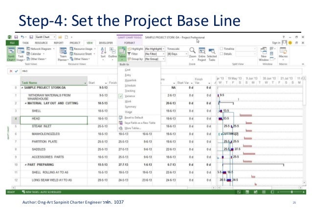 How to Create S Curve by MS Project 2013