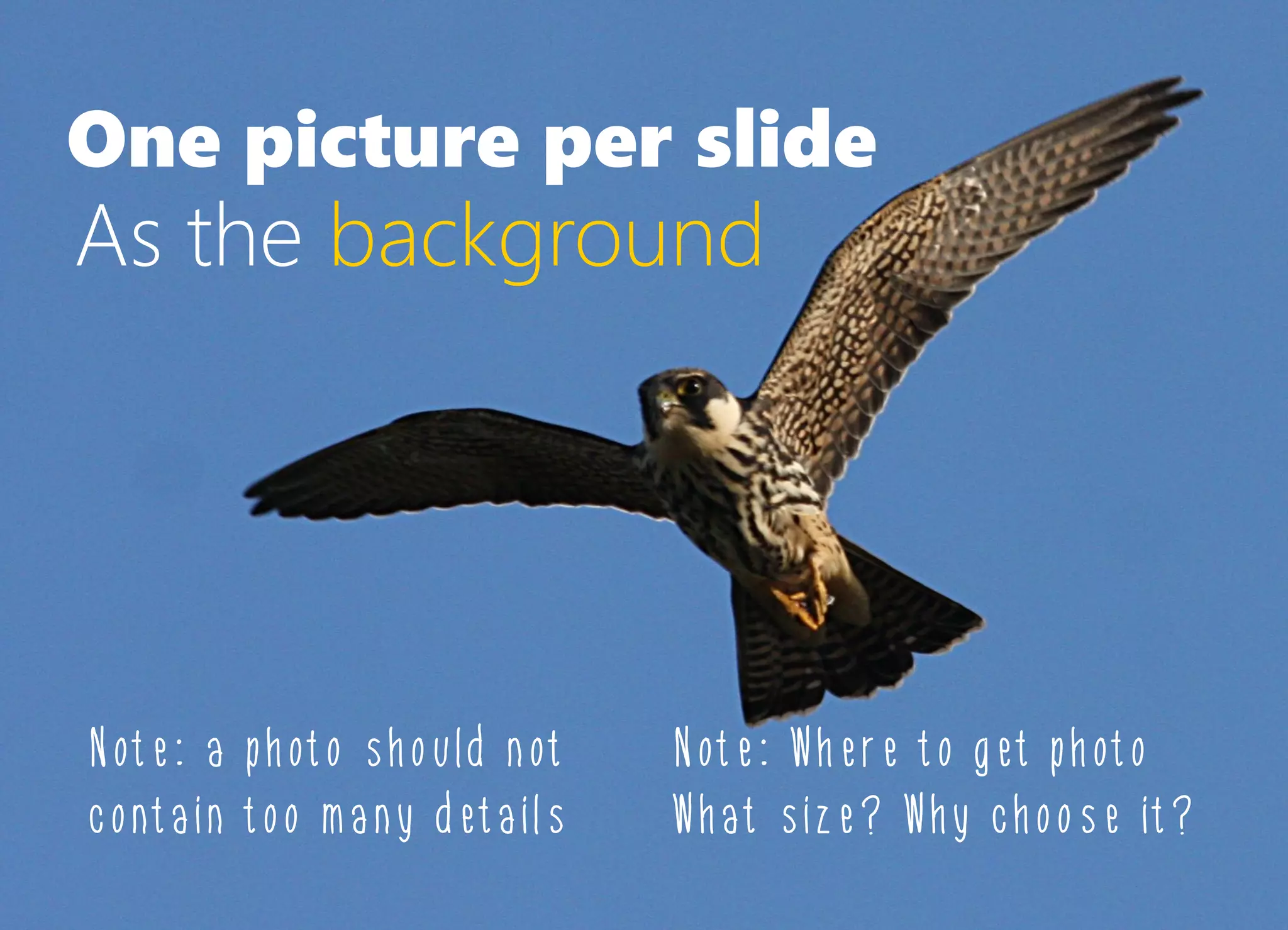 How to create visual aid | PPT