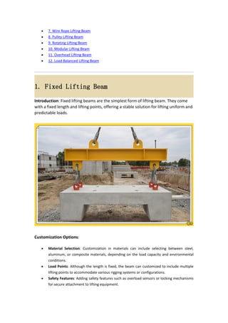 How to Customize The Type of Lifting Beam.pdf