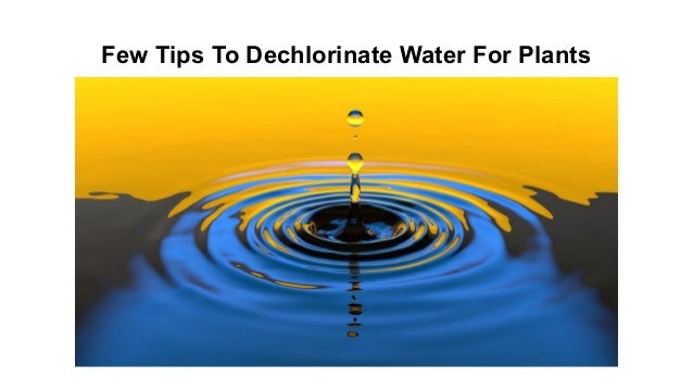 How to dechlorinate water for plants | PDF