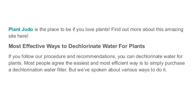 How to dechlorinate water for plants | PDF