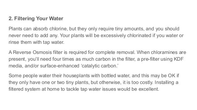How to dechlorinate water for plants | PDF