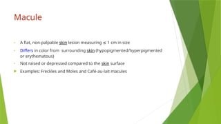 How to describe a skin lesion updates.pptx