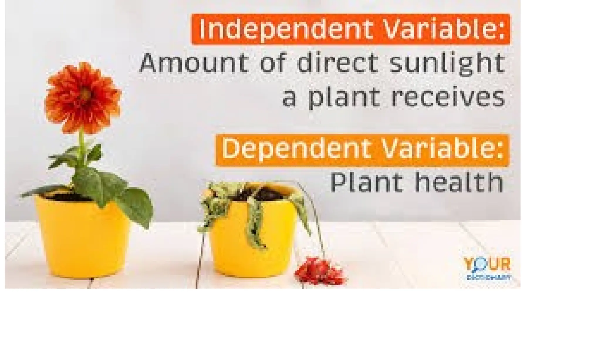 how to design a controlled experiment.pptx