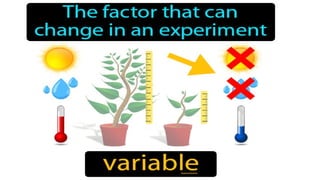 how to design a controlled experiment.pptx