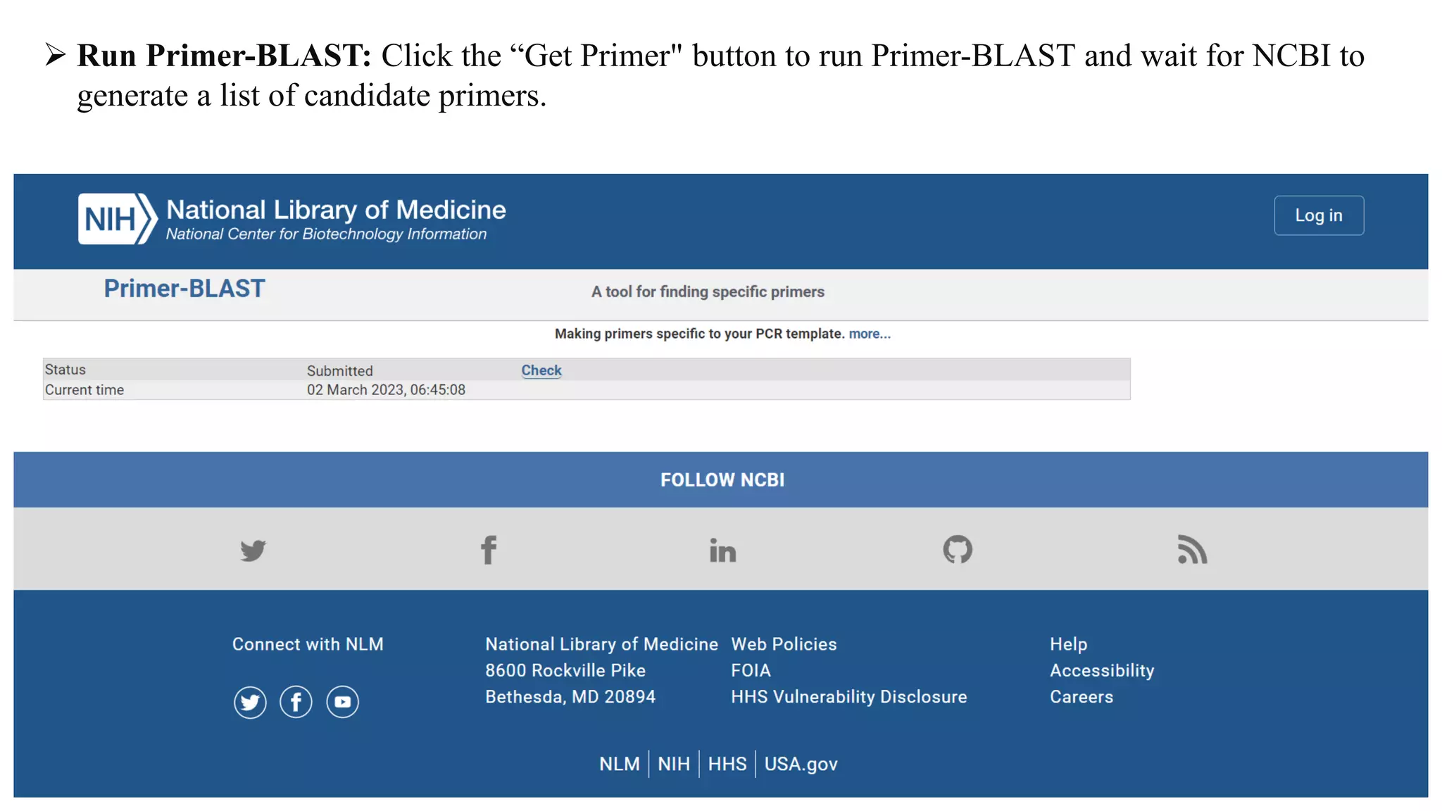 How to design a DNA primer on NCBI.pptx
