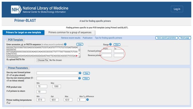 How to design a DNA primer on NCBI.pptx | Genetics | Science
