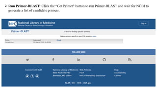 How to design a DNA primer on NCBI.pptx
