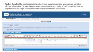 How to design a DNA primer on NCBI.pptx
