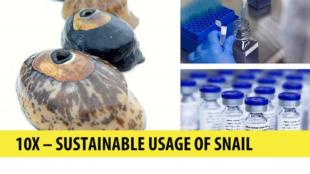 How to design exponential (10X) business models? | PPT