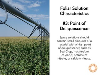 How to Design Foliar Sprays | PDF