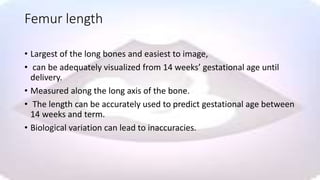 How to determine gestational age of pregnancy | PPTX
