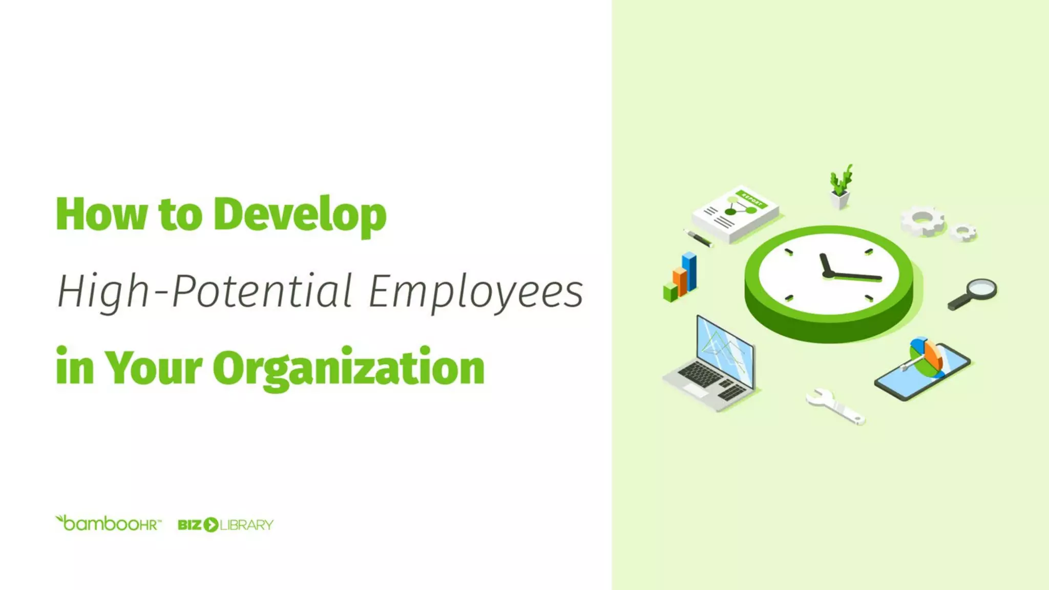 How to Develop High Potential Employees in Your Organization | PDF