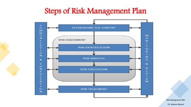 Healthcare Risk Management Plan | PDF