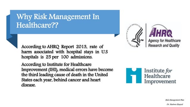 Healthcare Risk Management Plan | PDF