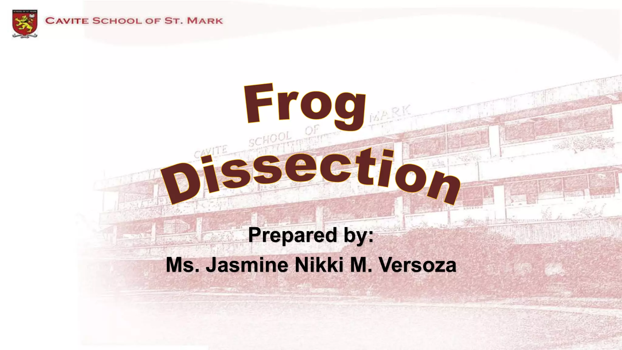 How to Dissect a Frog | PPTX