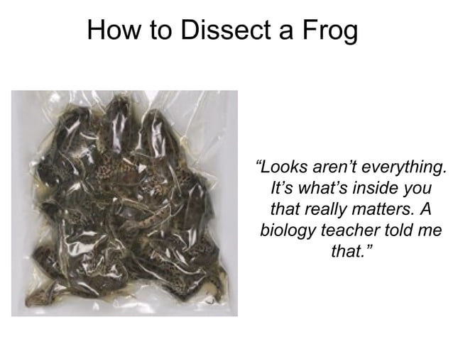How to dissect a frog 2014 | PPT | Medical Health