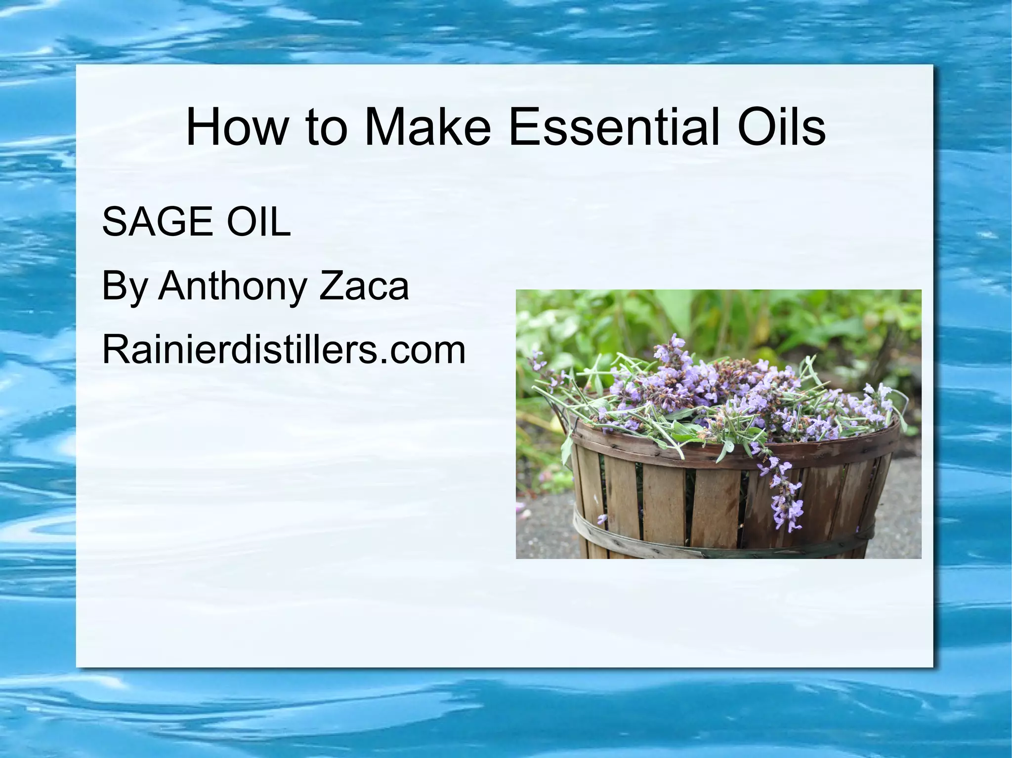 DISTILLATION OF ESSENTIAL OILS - Sage! | ODP