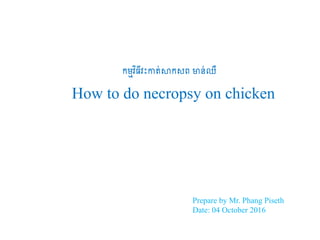 How to do necropsy | PPT