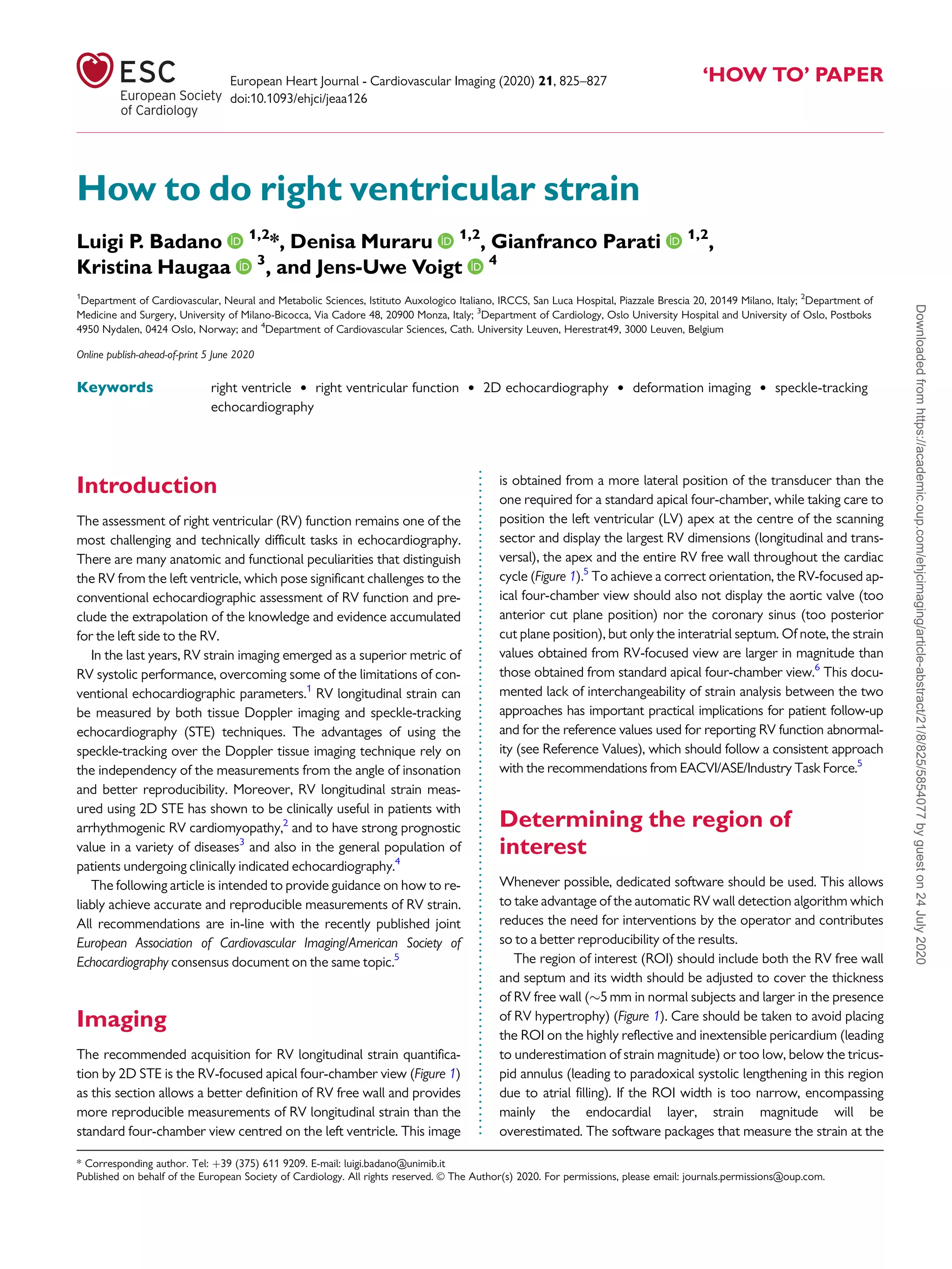 How to do right ventricular strain | PDF