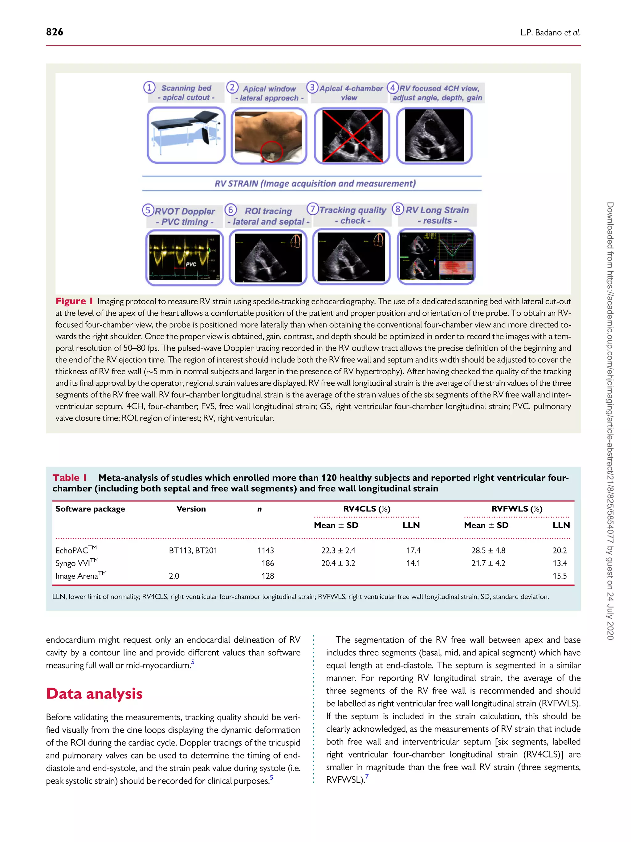 How to do right ventricular strain | PDF