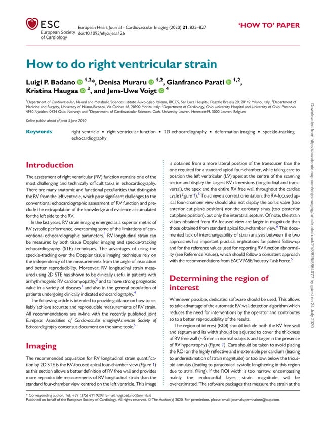 How to do right ventricular strain | PDF | Heart and Cardiovascular ...