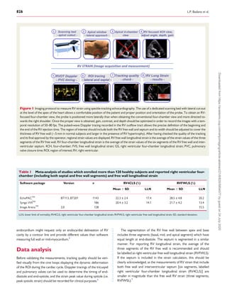 How to do right ventricular strain | PDF