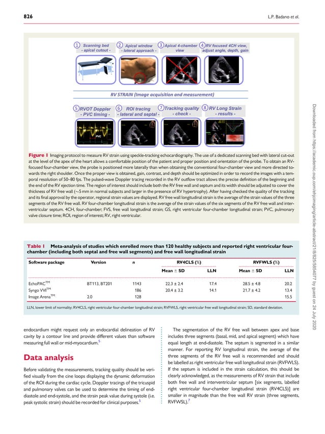 How to do right ventricular strain | PDF | Heart and Cardiovascular ...