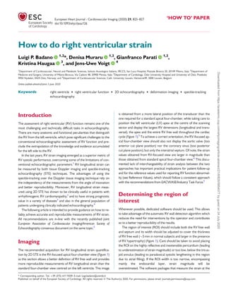 How to do right ventricular strain | PDF