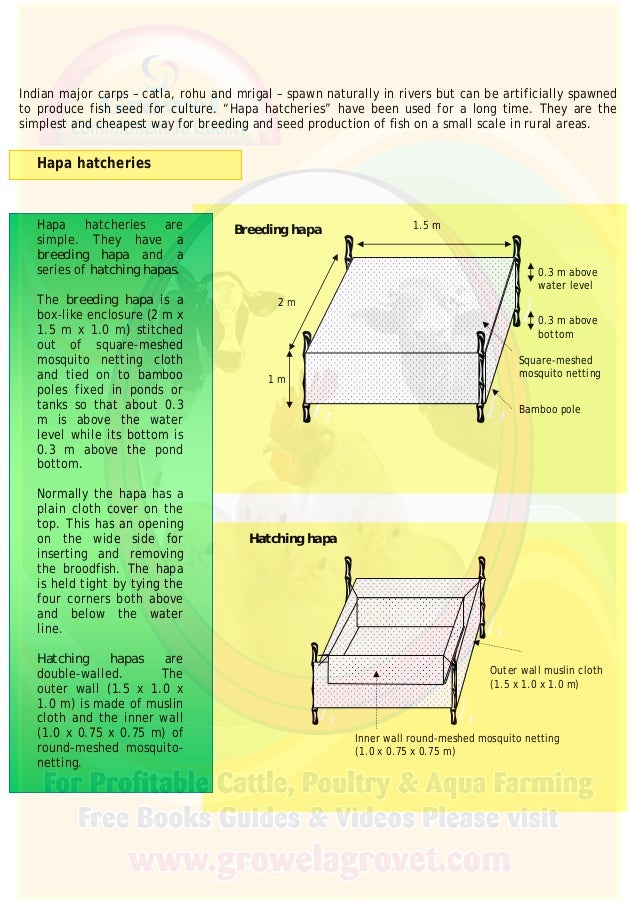 How to Do Spawn Production in Hapas