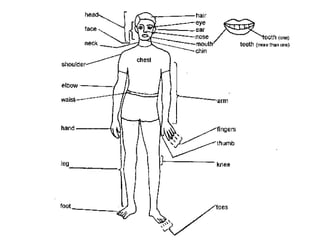 How to do the hokey pokey | PPTX