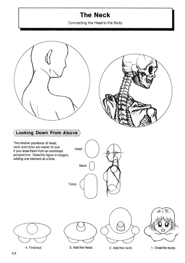 How To Draw Hayashi Hikaru Techniques For Drawing Female Manga C