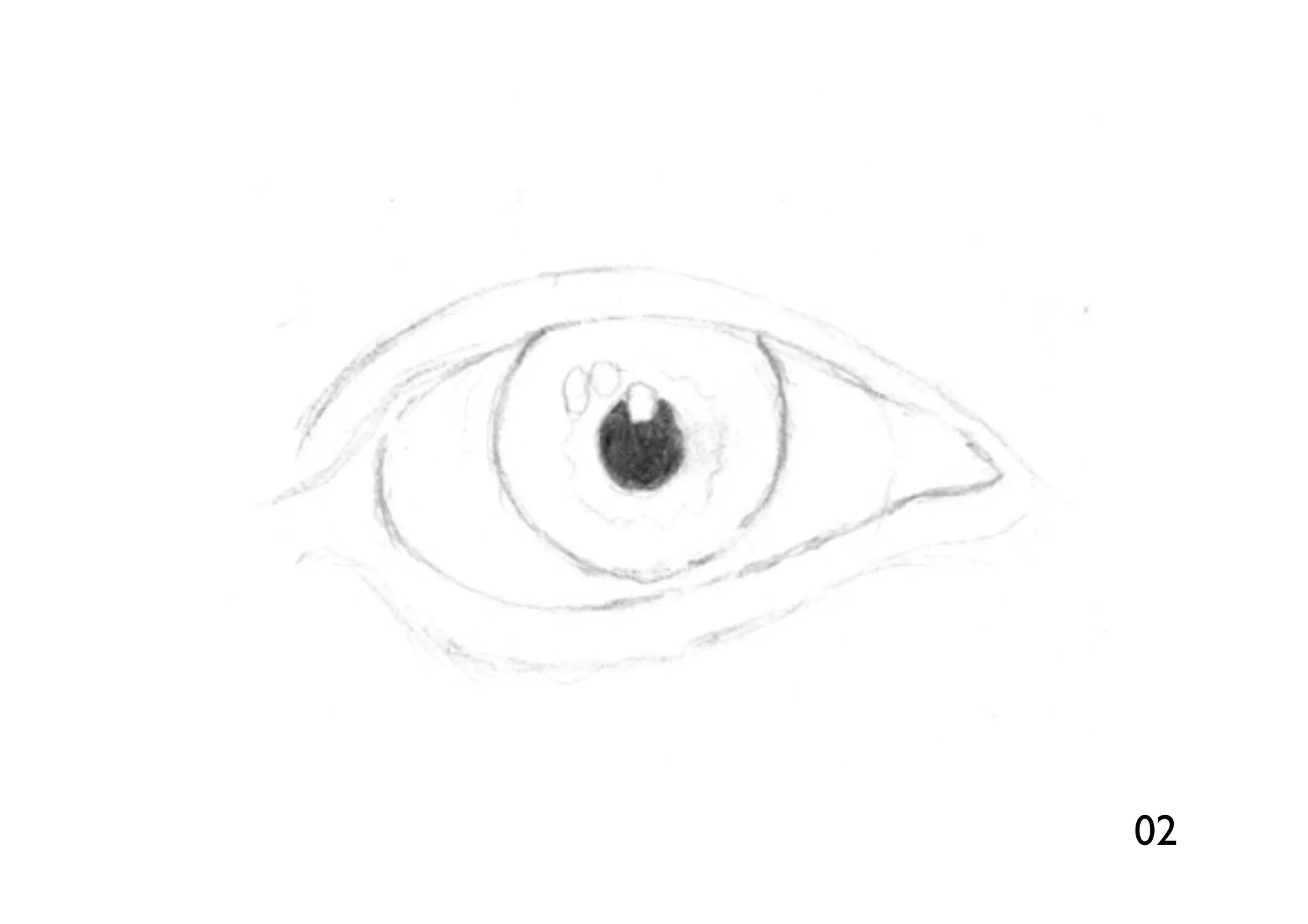 Human Eye Drawing Tutorial