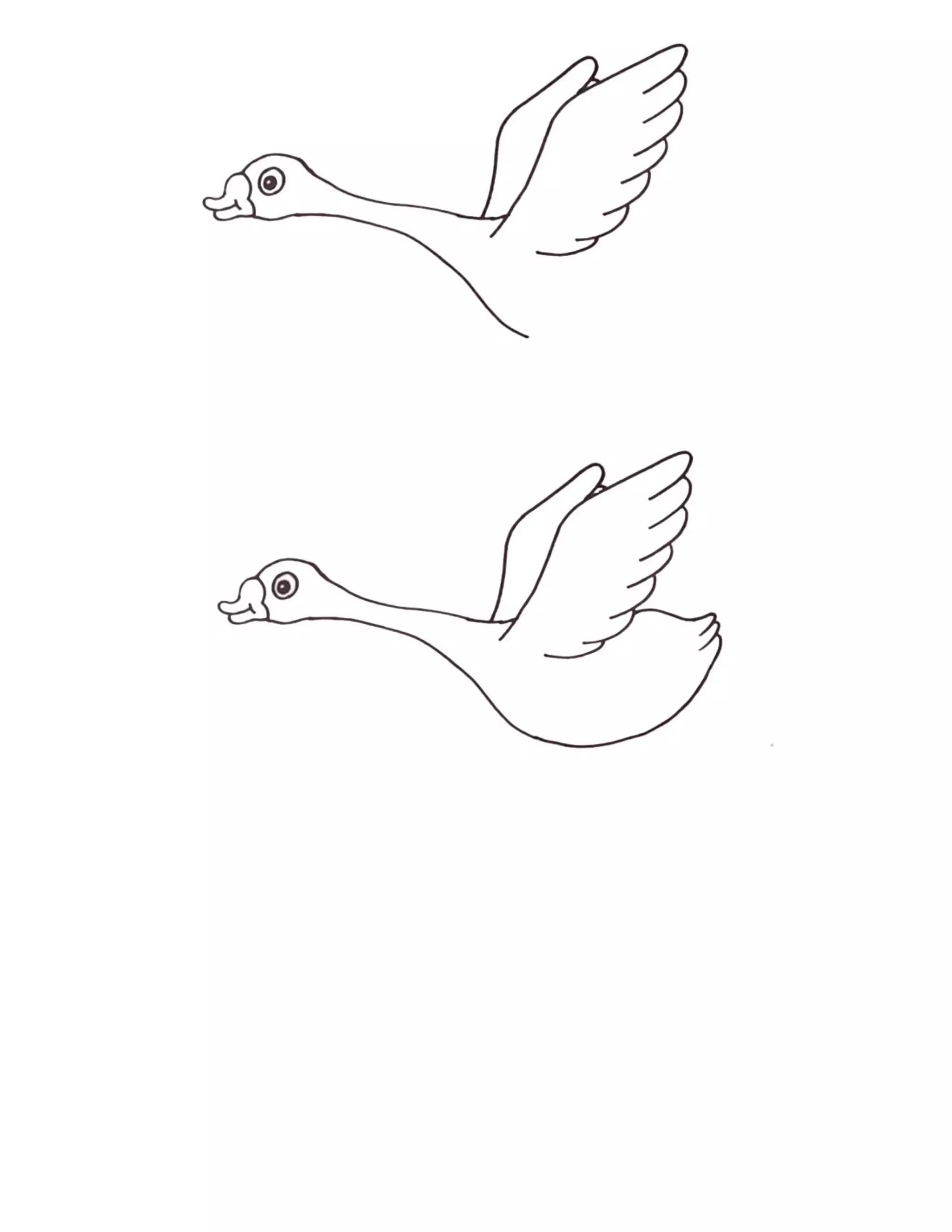 How To Draw Animals In Simple Steps: The Step By Step Guide To 30 ...
