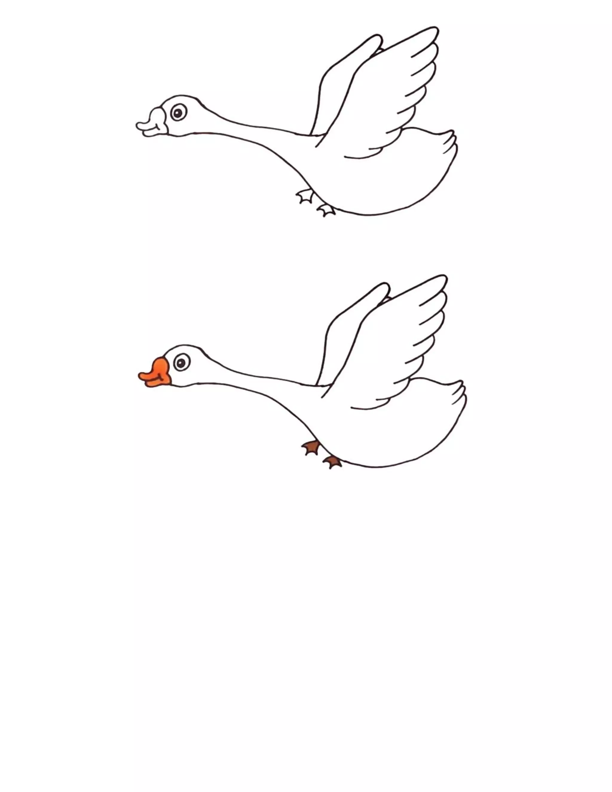 How To Draw Animals In Simple Steps: The Step By Step Guide To 30 ...