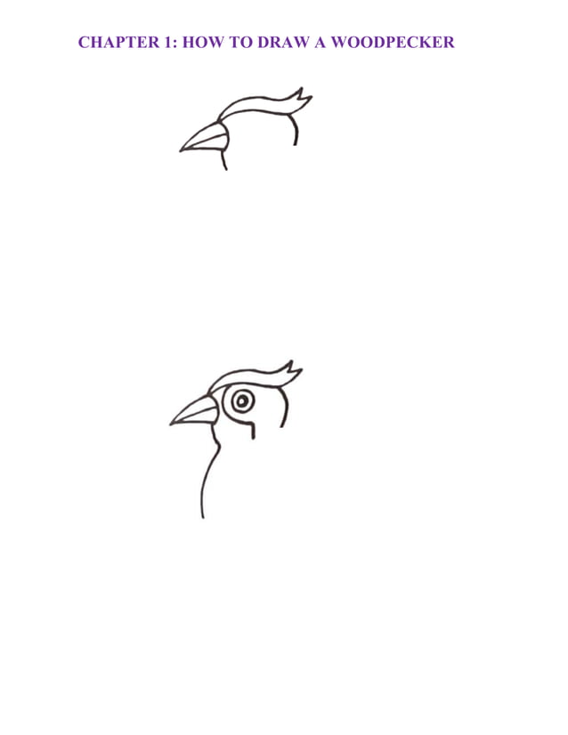 How To Draw Animals In Simple Steps: The Step By Step Guide To 32 ...